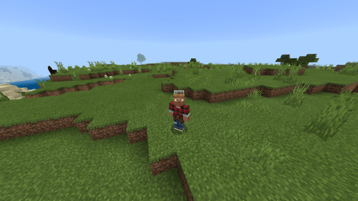 Different Skulls Resource Pack | Minecraft PE Texture Packs