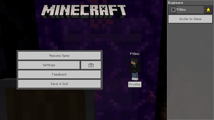 Screenshot Button | Minecraft PE Texture Packs